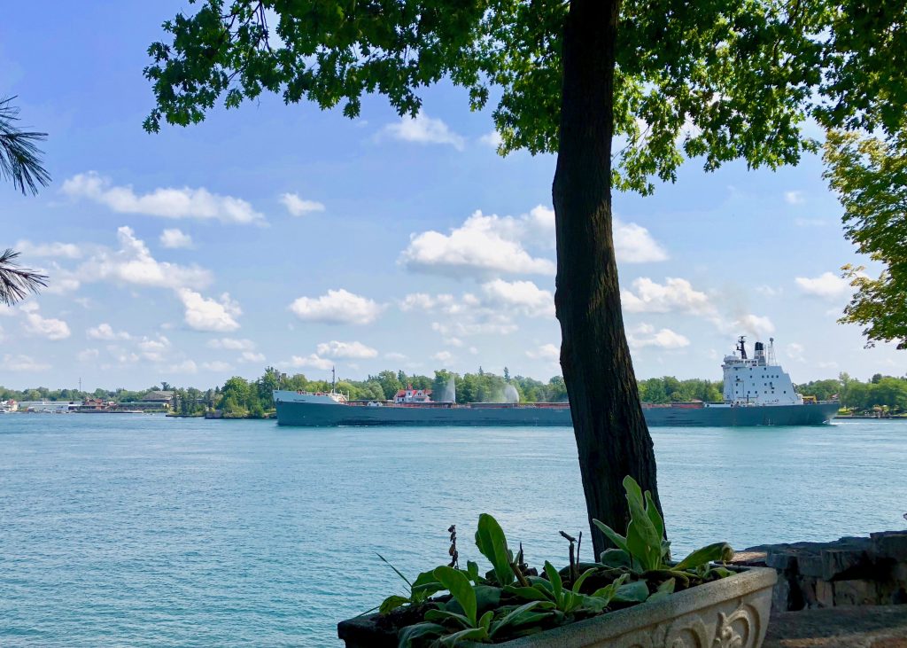 Pullman Island 4 | Susan G Mathis